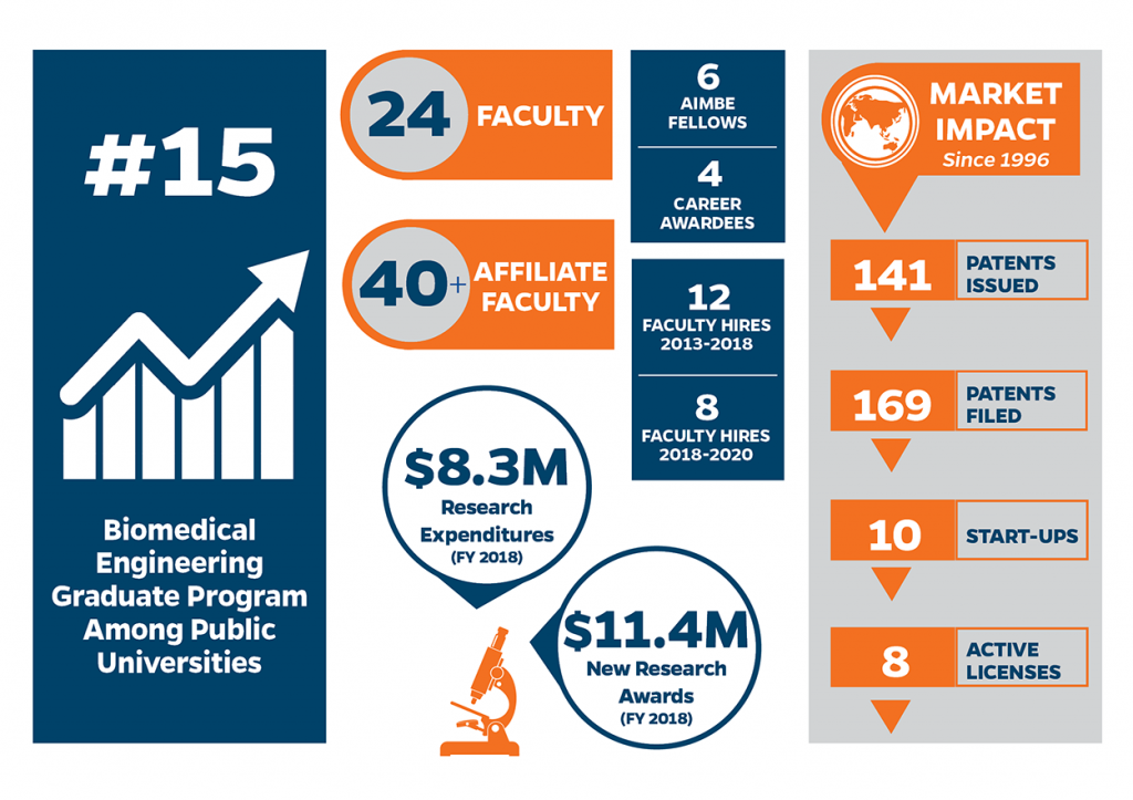 About Biomedical Engineering – J. Crayton Pruitt Family Department of Biomedical Engineering
