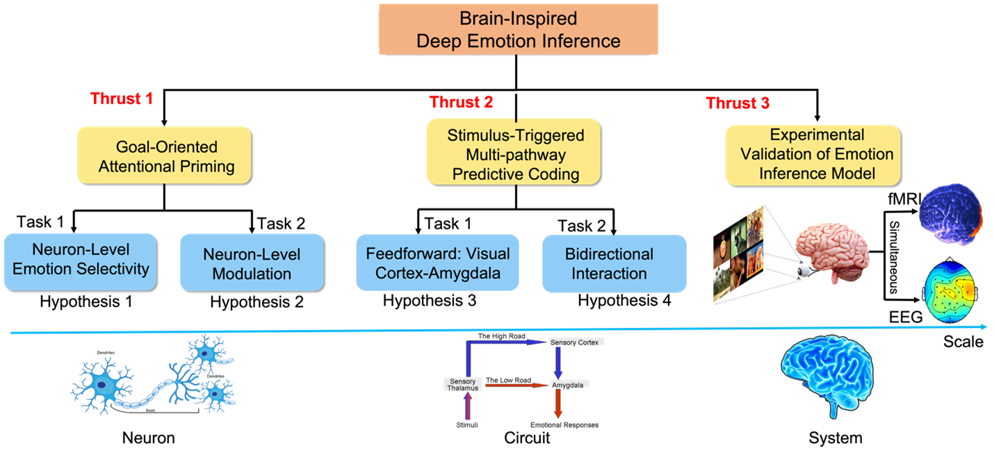 Bridging Neuroscience And Ai Brain Inspired Ai To Make Machine Perceive Emotion Like Humans J